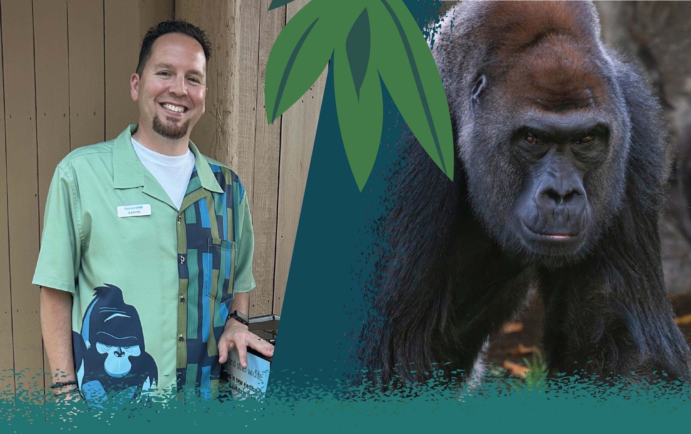 From King Kong to Conservation: A Lifelong Connection with Great Apes ...